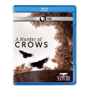 PBS Nature A Murder of Crows DVD