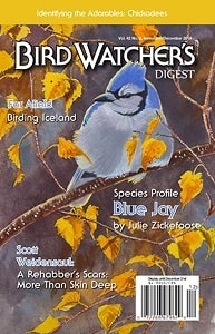 Reviews - Bird Watching Magazines Subscriptions- Birds and Blooms ...